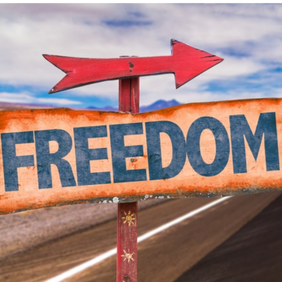 TORO SERVER 公式ホームページ